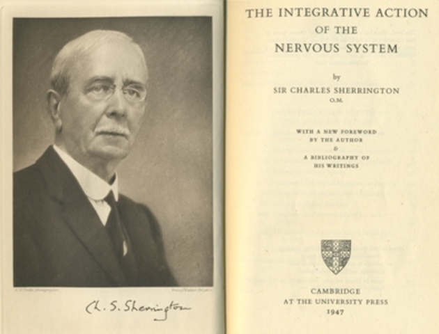 History of Modern Psychology timeline | Timetoast timelines