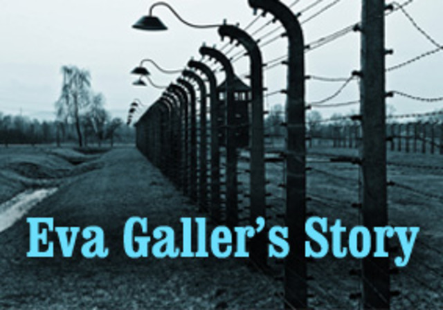The Holocaust Timeline: Survivor Stories | Timetoast timelines