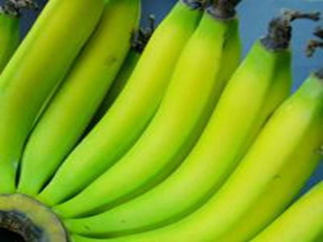 Timeline of the Modern Banana | Timetoast timelines