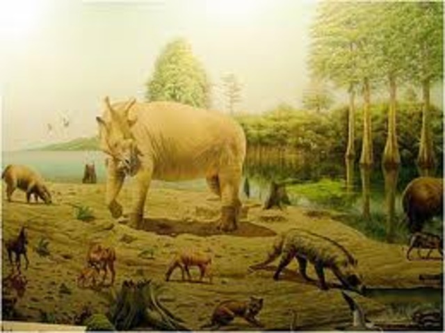 Cenozoic Era timeline | Timetoast timelines