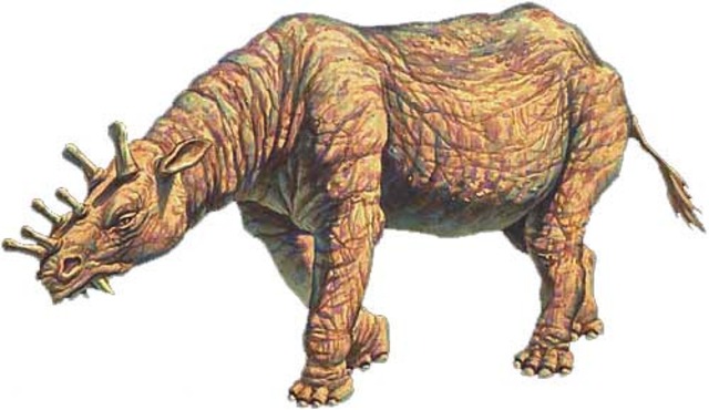 Cenozoic Era timeline | Timetoast timelines