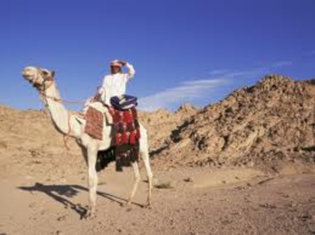 600 BCE-600 CE (B-Day) timeline | Timetoast timelines