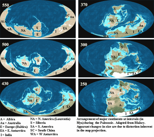 Paleozoic timeline | Timetoast timelines