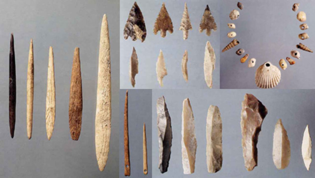 Origen Y Evolución Del Hombre Timeline Timetoast Timelines