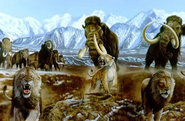 Historia de la Tierra timeline | Timetoast timelines