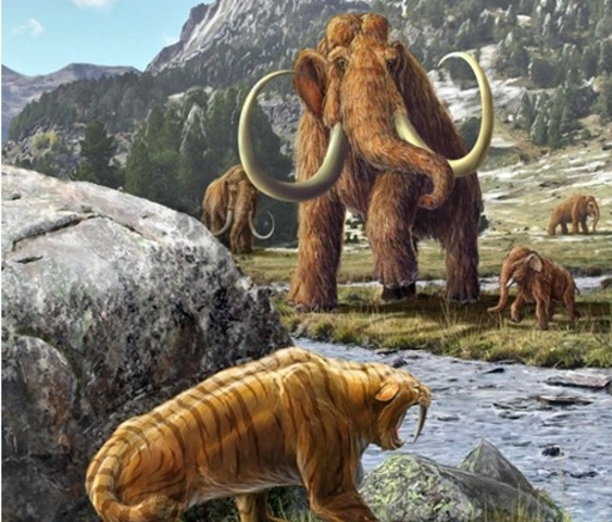 Historia de la Tierra. timeline | Timetoast timelines