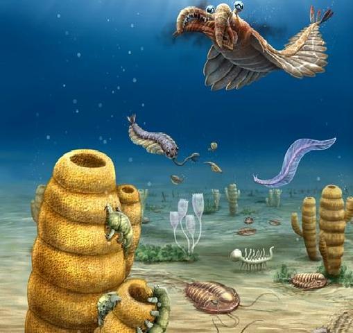 Historia de la Tierra. timeline | Timetoast timelines