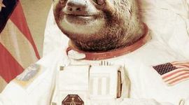 History of the Programming Languages timeline | Timetoast timelines