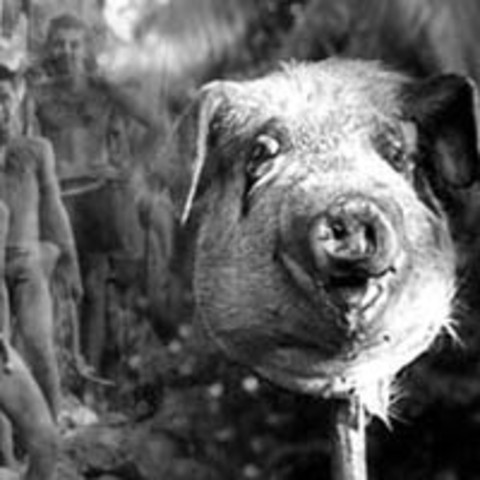 Lord of the Flies timeline | Timetoast timelines