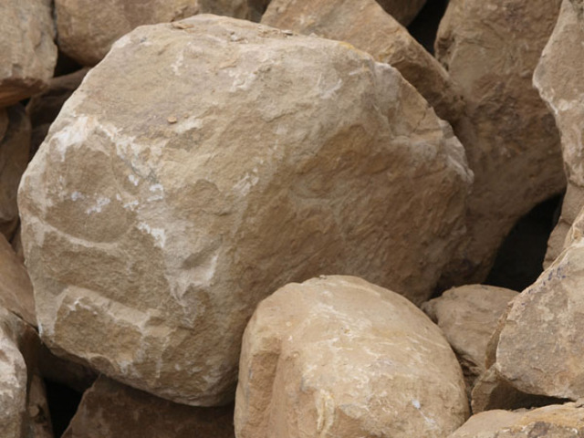 Lord of the Flies timeline | Timetoast timelines