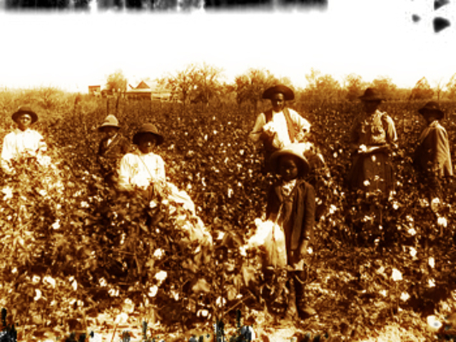 Slavery in Ky timeline | Timetoast timelines