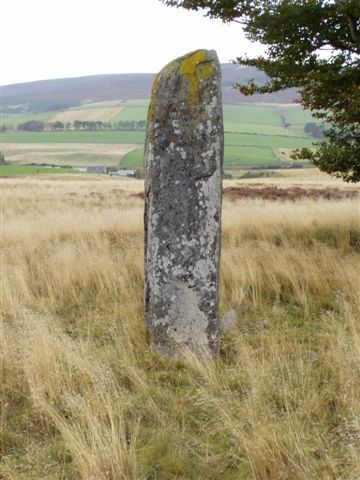 The Real Macbeth/ CaitlinH8 timeline | Timetoast timelines