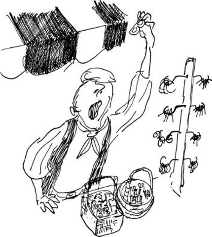 The Phantom Tollbooth timeline | Timetoast timelines