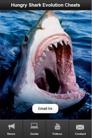 Shark Evolution timeline | Timetoast timelines