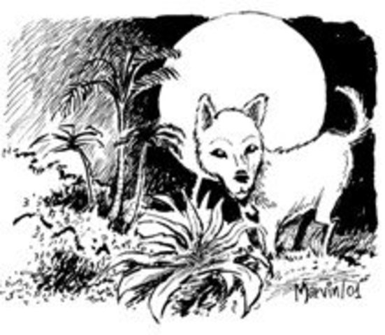 Cadejos timeline | Timetoast timelines