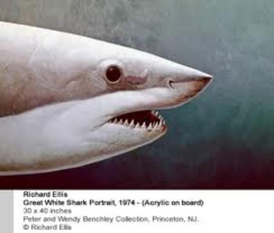 Shark Evolution timeline | Timetoast timelines