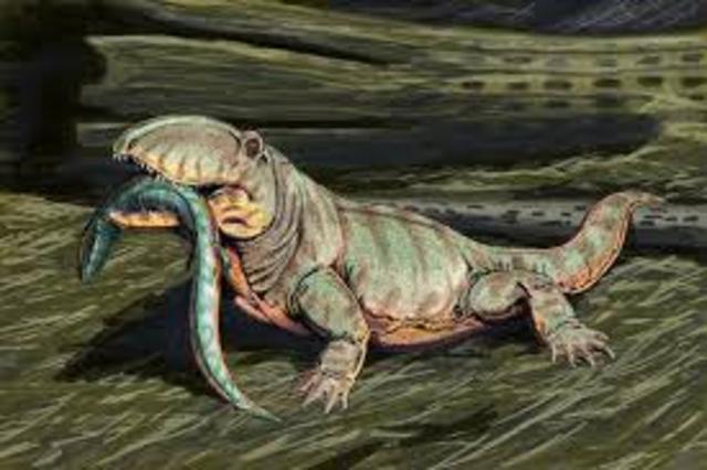 The History of the Earth timeline | Timetoast timelines