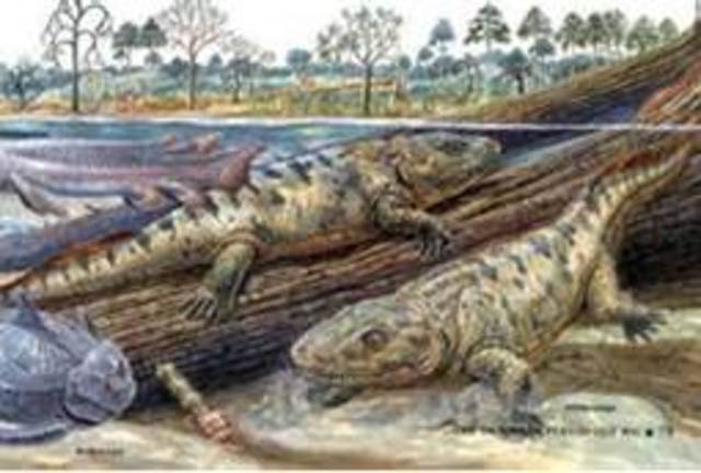Earth Geological Time Periods timeline | Timetoast timelines