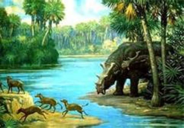 Earth Geological Time Periods timeline | Timetoast timelines