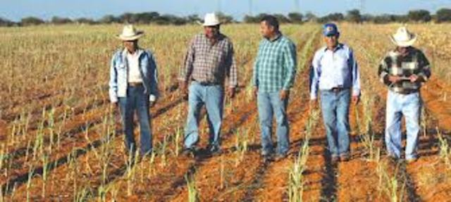 Línea4AE1B23 timeline | Timetoast timelines