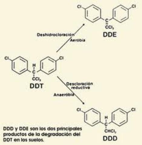 avances químicos timeline | Timetoast timelines