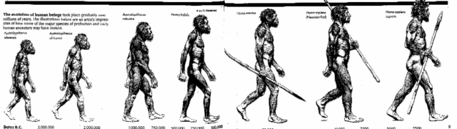 Evolution timeline | Timetoast timelines