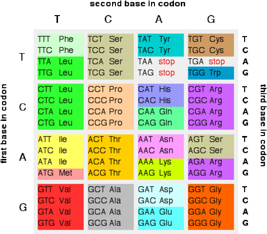 Evolution timeline | Timetoast timelines