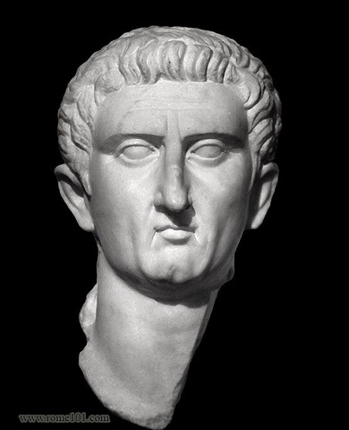 Nerva - Alchetron, The Free Social Encyclopedia