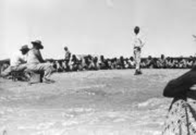 Struggle for Indigenous Rights and Freedoms timeline | Timetoast timelines