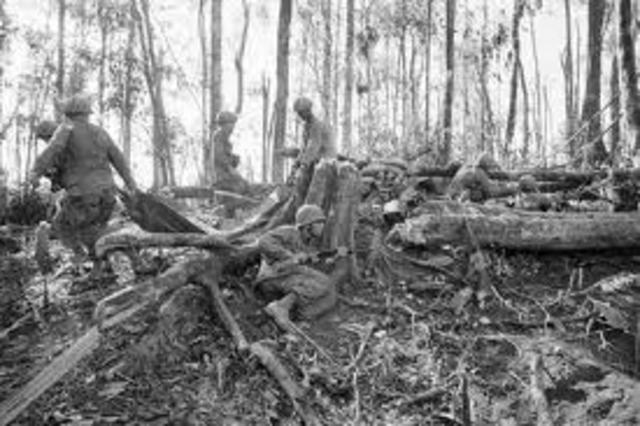 The Things They Carried timeline | Timetoast timelines