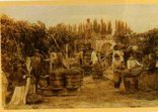 1850-1860 timeline | Timetoast timelines