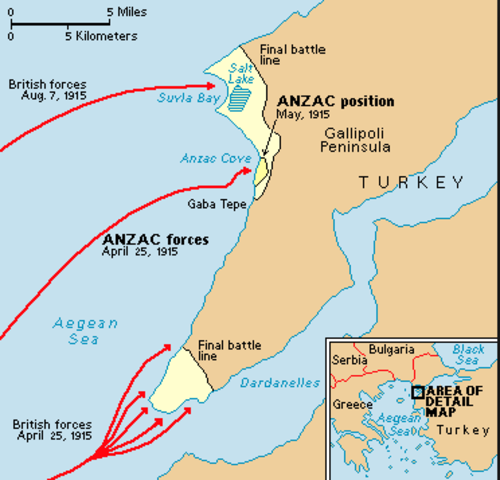 World War 1 Gallipoli timeline | Timetoast timelines