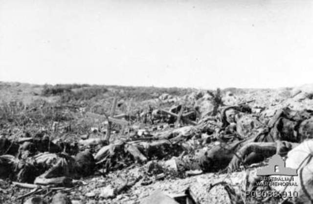 Gallipoli Campaign timeline | Timetoast timelines