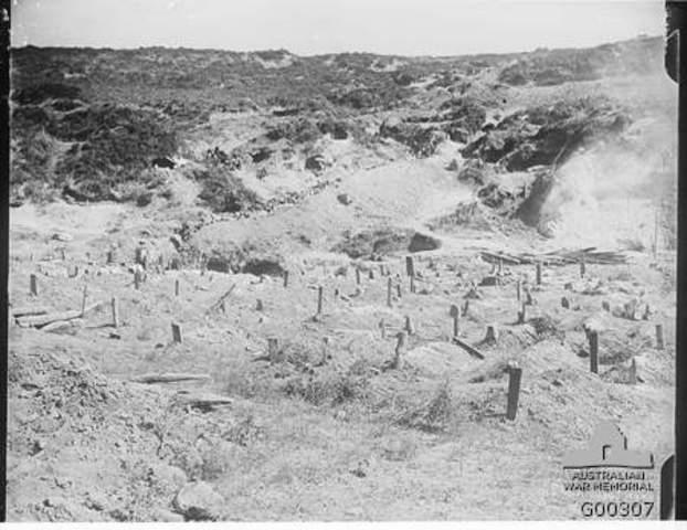 Gallipoli Campaign timeline | Timetoast timelines