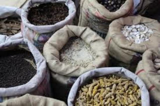 European Explorers timeline | Timetoast timelines