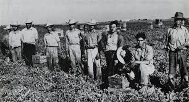 The Bracero Timeline | Timetoast timelines