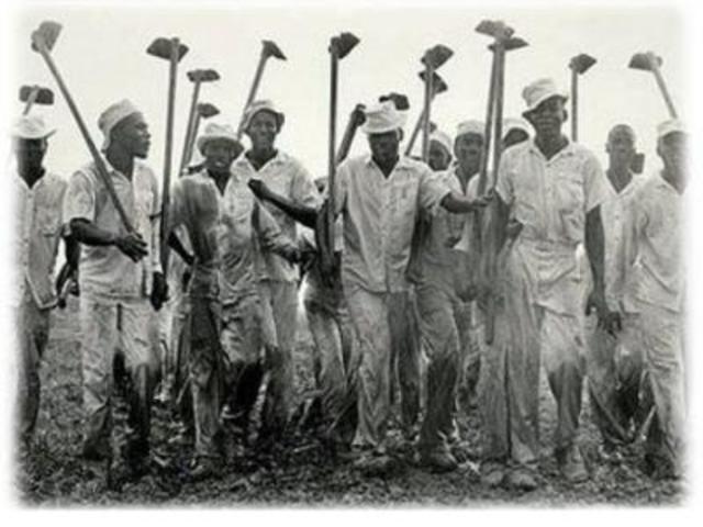 Evolution of the US Prison System timeline | Timetoast timelines