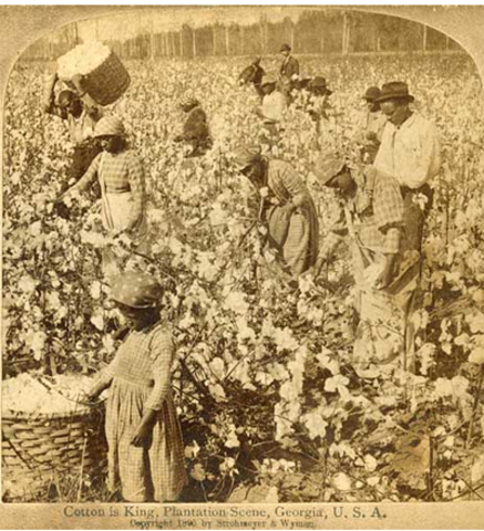 the timeline of the cotton gin | Timetoast timelines