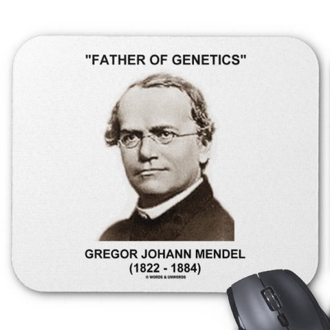 Gregor Mendel timeline | Timetoast timelines