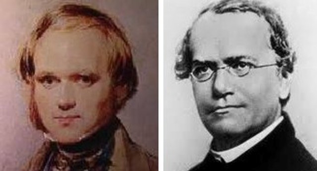 Gregor Mendel timeline | Timetoast timelines
