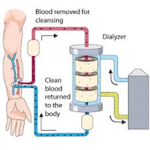 Important Milestones in Medical History timeline | Timetoast timelines