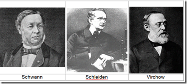 the scientist of history of biolagy timeline | Timetoast timelines