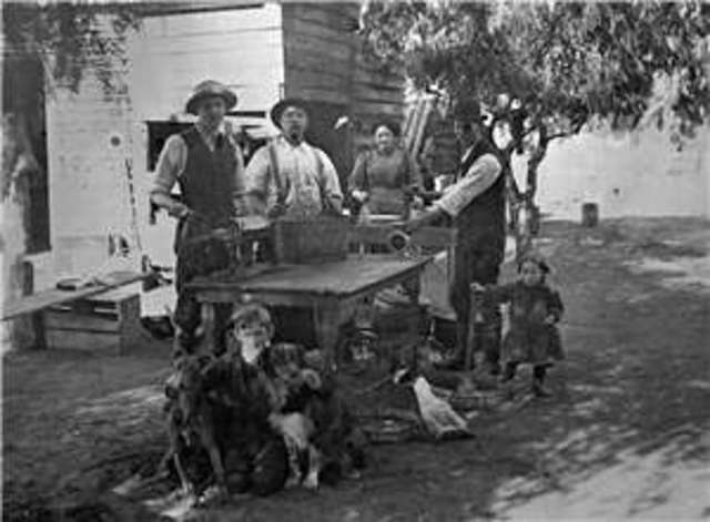 Immigration to Australia timeline | Timetoast timelines