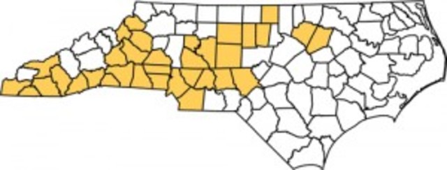 Gold Rush of North Carolina timeline | Timetoast timelines