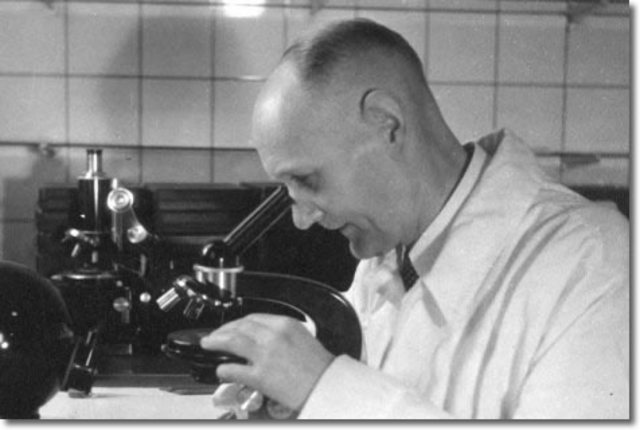 The History of Antibiotics timeline | Timetoast timelines