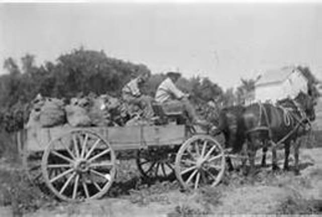 Immigration and Westward Expansion timeline | Timetoast timelines