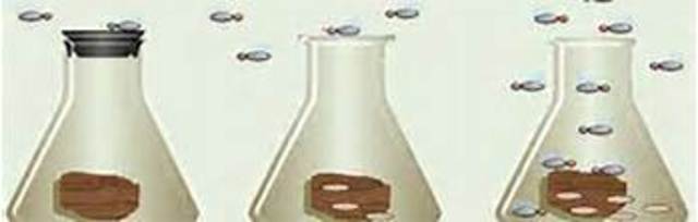 The Development of Cell Theory timeline | Timetoast timelines