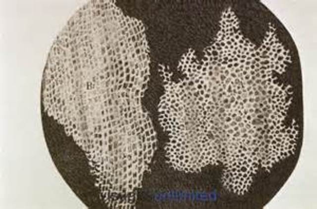 Biology Timeline of Cell Theory | Timetoast timelines