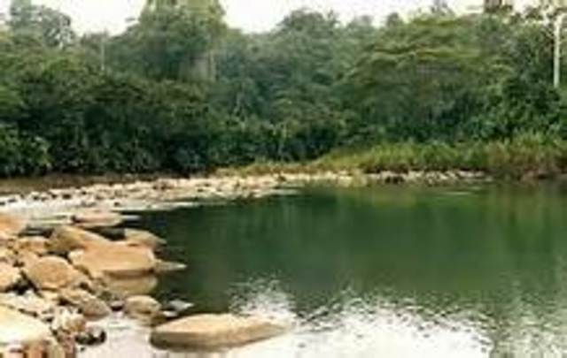 Historia de los pueblos de Puerto Rico(Florida) timeline | Timetoast ...