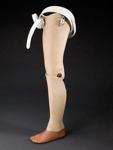 History Of Prosthetic timeline | Timetoast timelines